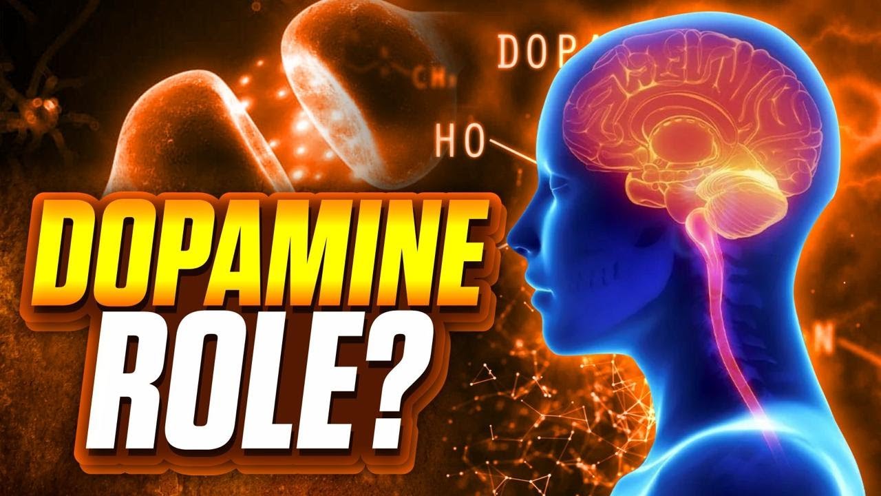 The Science Of Dopamine - How It Affects Your Mood, Motivation & Health ...