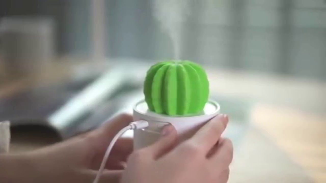 VitalityEssentials UltraSonic USB Cactus Diffuser/Humidifier - YouTube