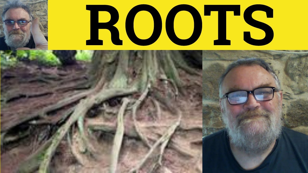 🔵 Roots Meaning - Roots Collocations - Roots Examples - Roots Idioms ...