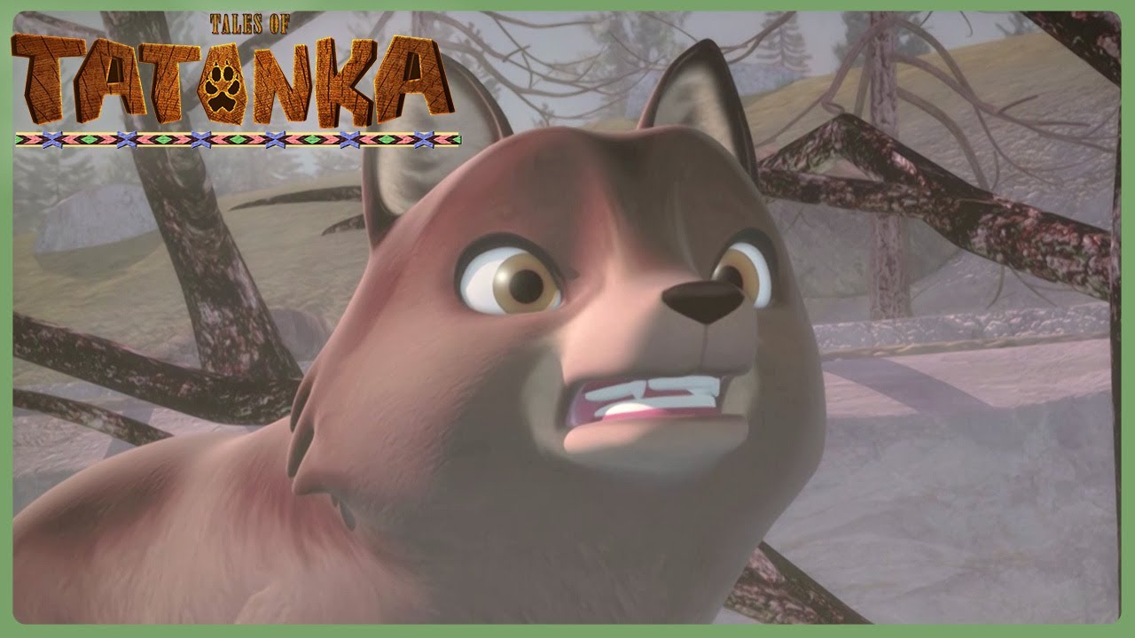 Field Trip to the Geysers! 🌋 Only Tatonka Knows the Way… | Tatonka ...