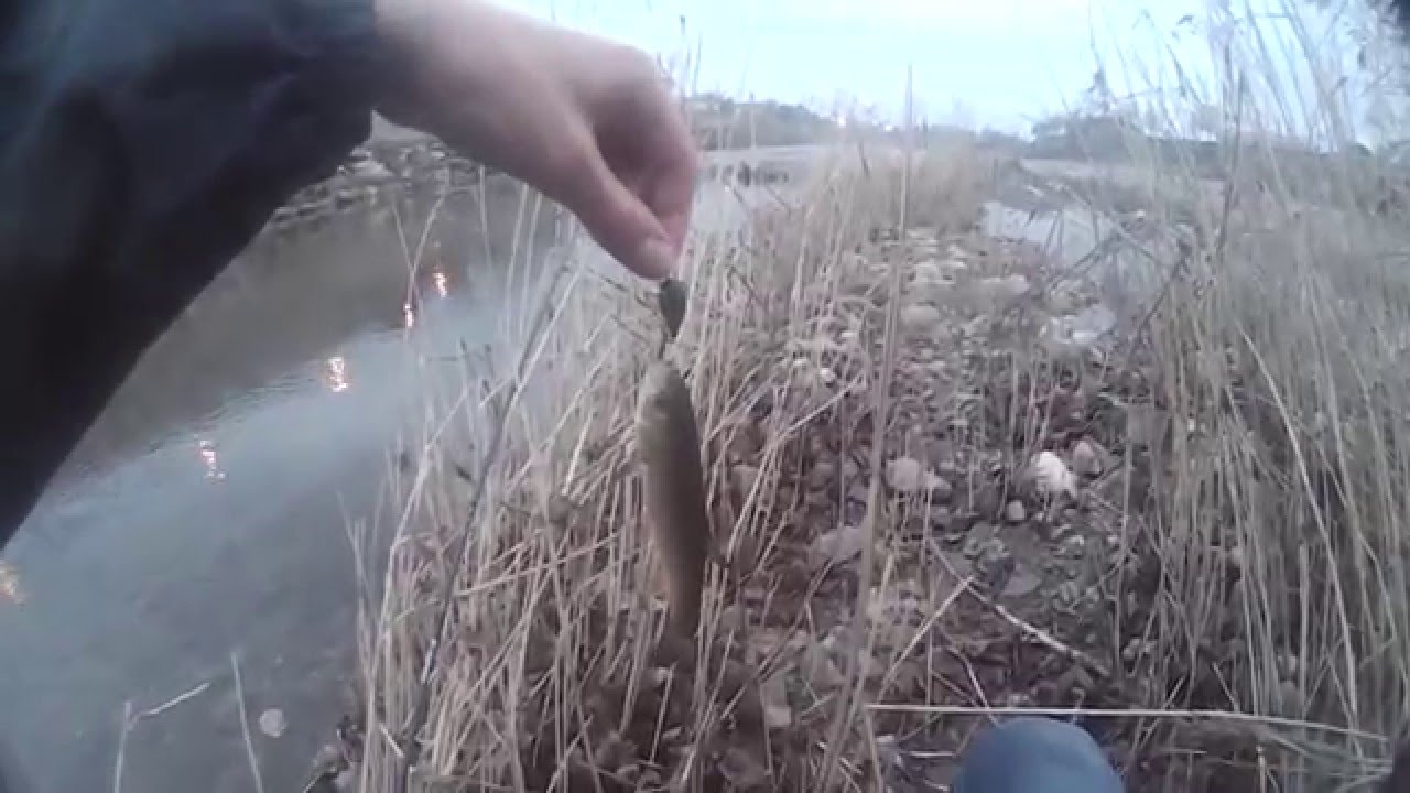 pêche du chevesne 12 : chevesnes au stepanow HD - YouTube