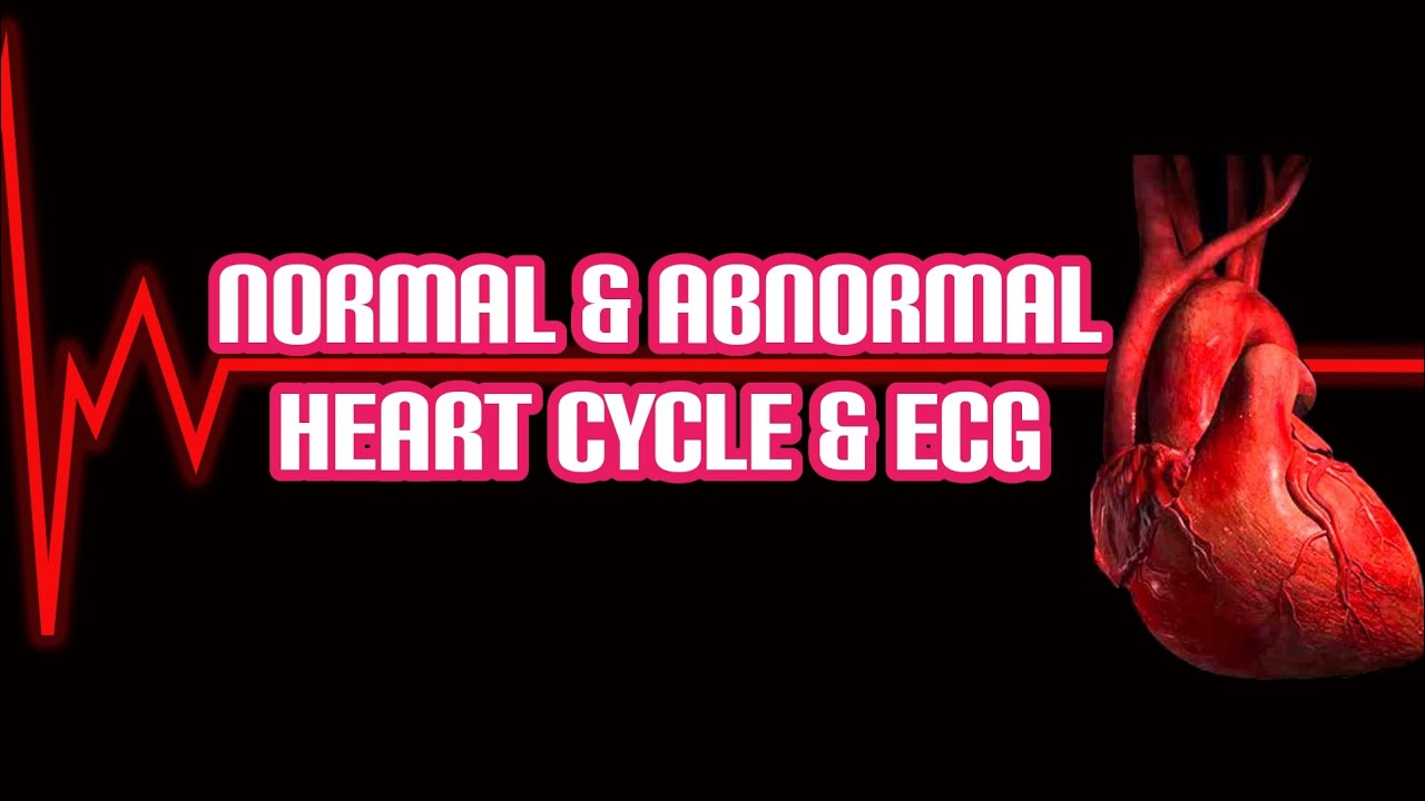 Normal & Abnormal Heart Cycle & ECG - YouTube