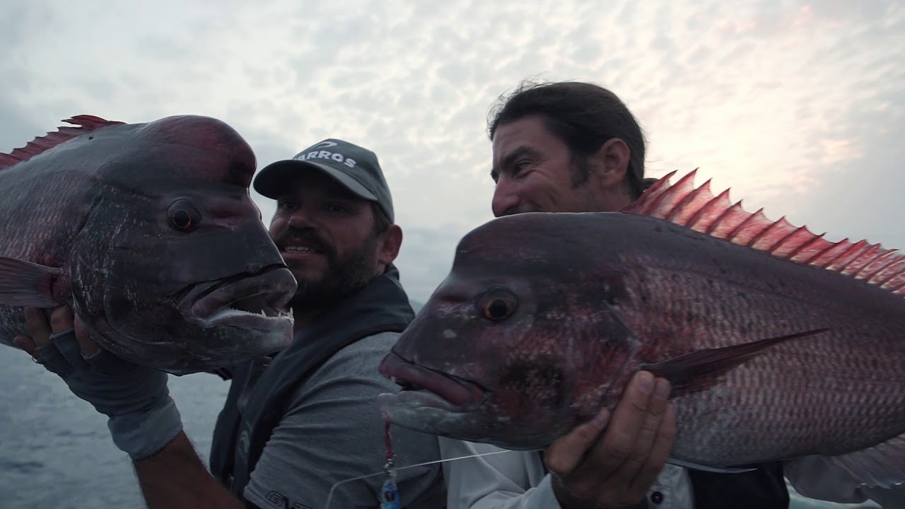 FISHING IN MADEIRA ISLANDS. - YouTube