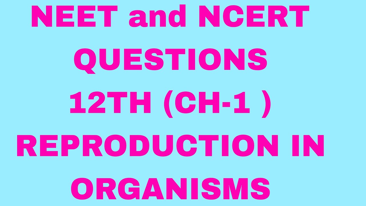 NEET and NCERT QUESTIONS - YouTube