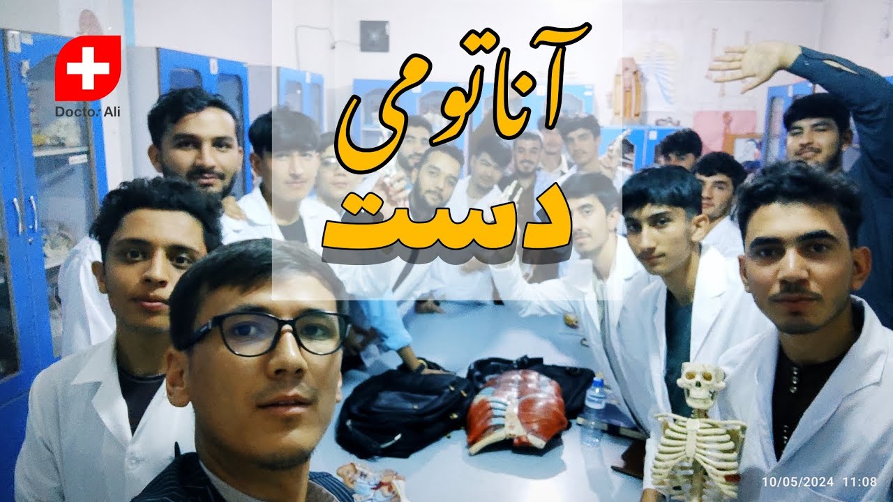 The hand one of my students, describe the hand anatomy in anatomy ...