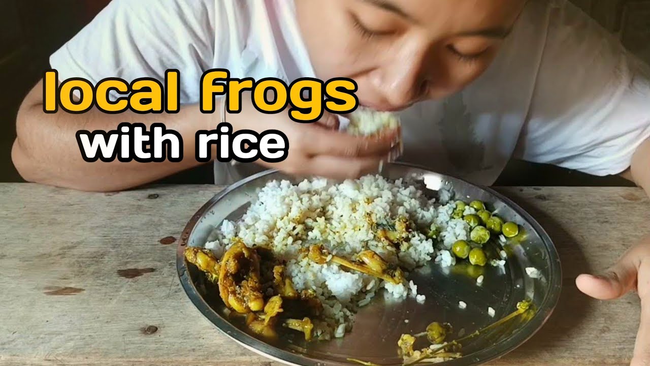 frog🐸eating with rice🍚||local frog Mukbang - YouTube