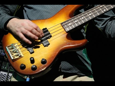 Masterclass de basse africaine : Zimbabwe, Congo, Sénégal. Tutoriel avec Edd Bateman. Sungura et ...