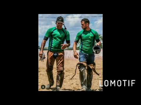 Melhores vídeos para status de vaquejada - Bonde do vaqueiro [tiro no pé]