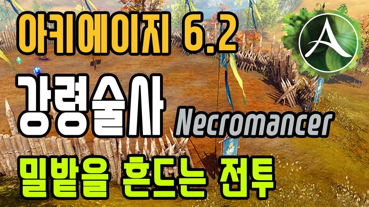 ArcheAge 6.2 Necromancer RvR : Halcyona War (KR.Nui_20191121) - YouTube