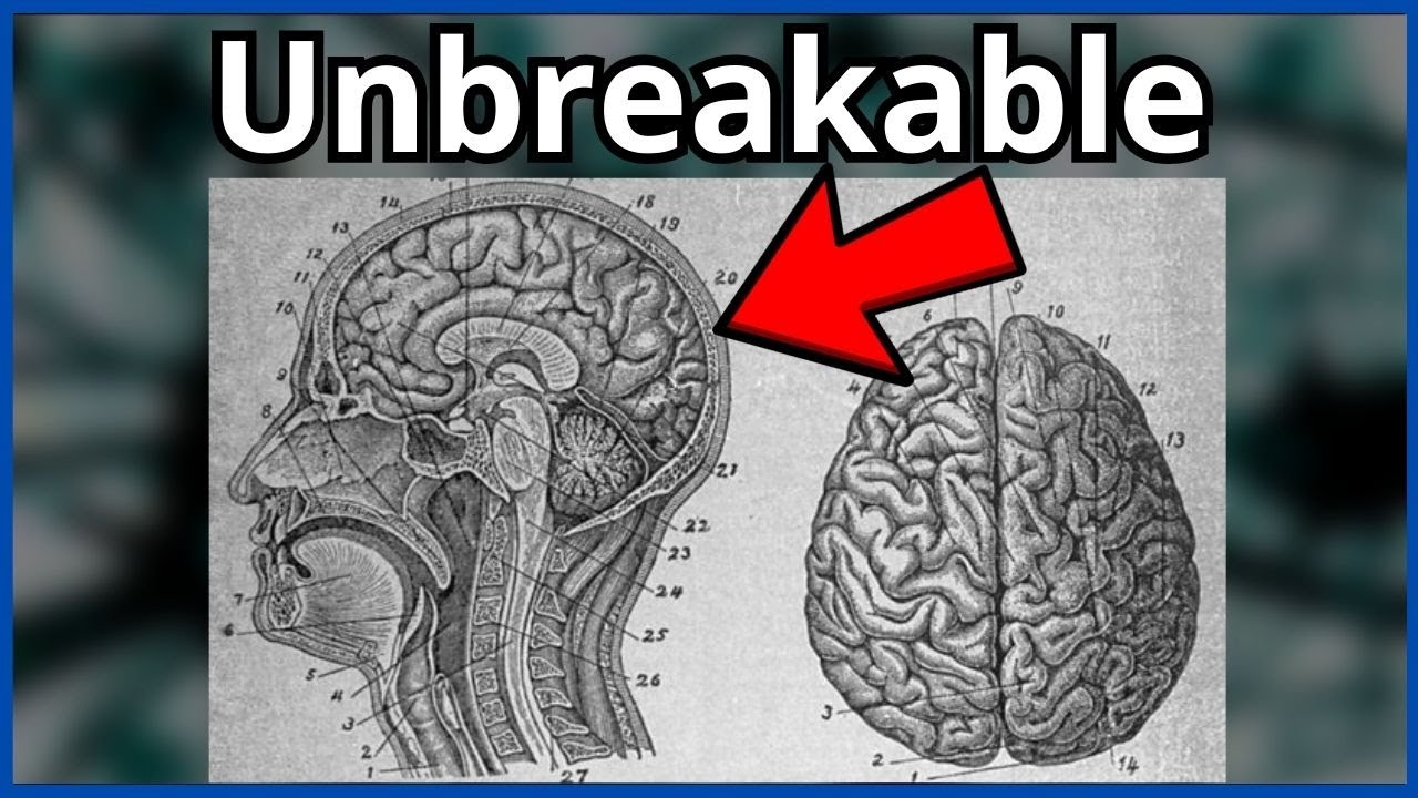 The Unbreakable Connection Between Brain and Memory - Here's Why It's ...