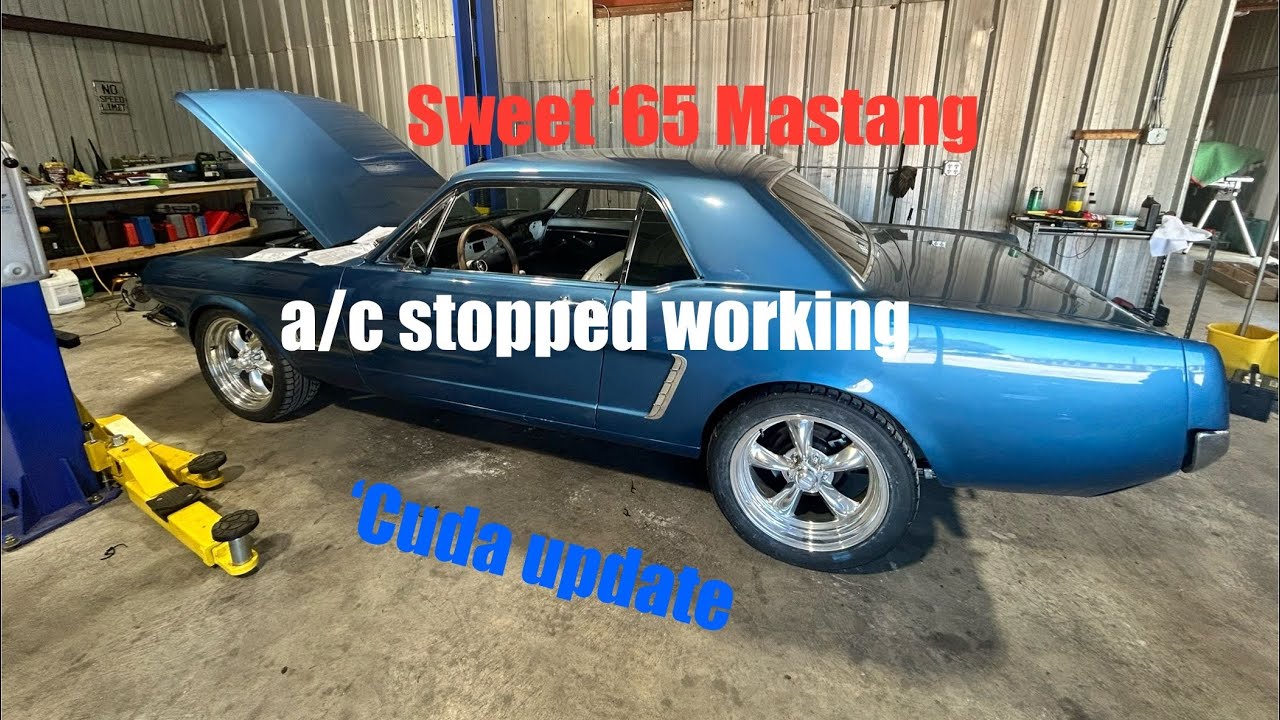 One clean ‘65 mustang with minor issues, and a broken a/c, small ‘Cuda ...