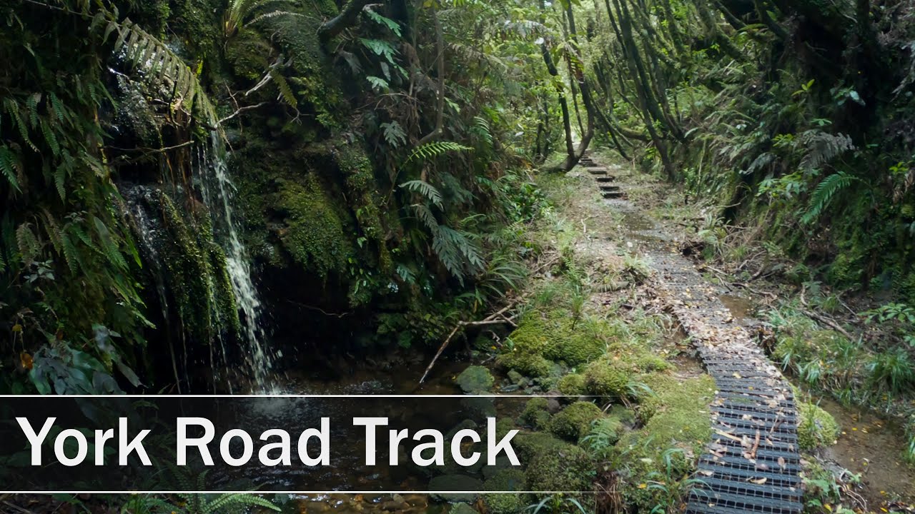 York Road Track, Taranaki, New Zealand | 4K - YouTube