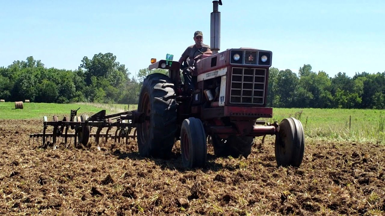 Making A Dove Field - YouTube