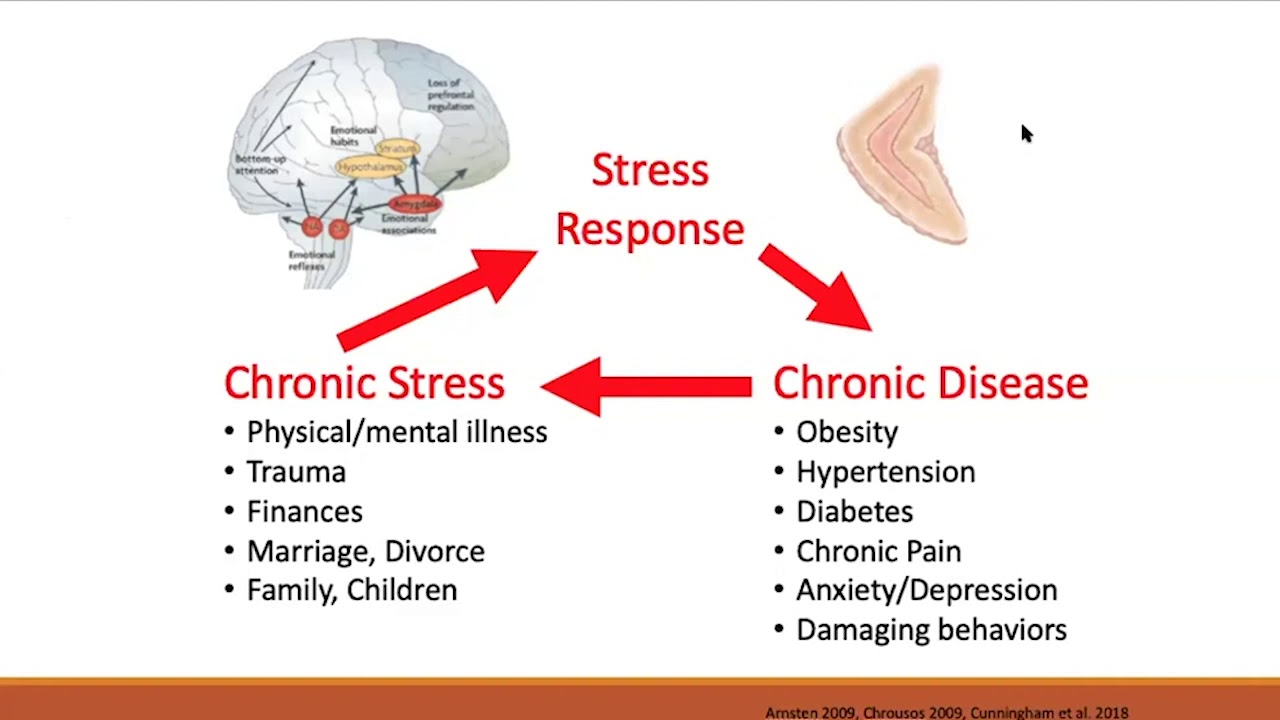 WWAD Zoom, Dr. Jacob Mirsky 12-11-20 - YouTube