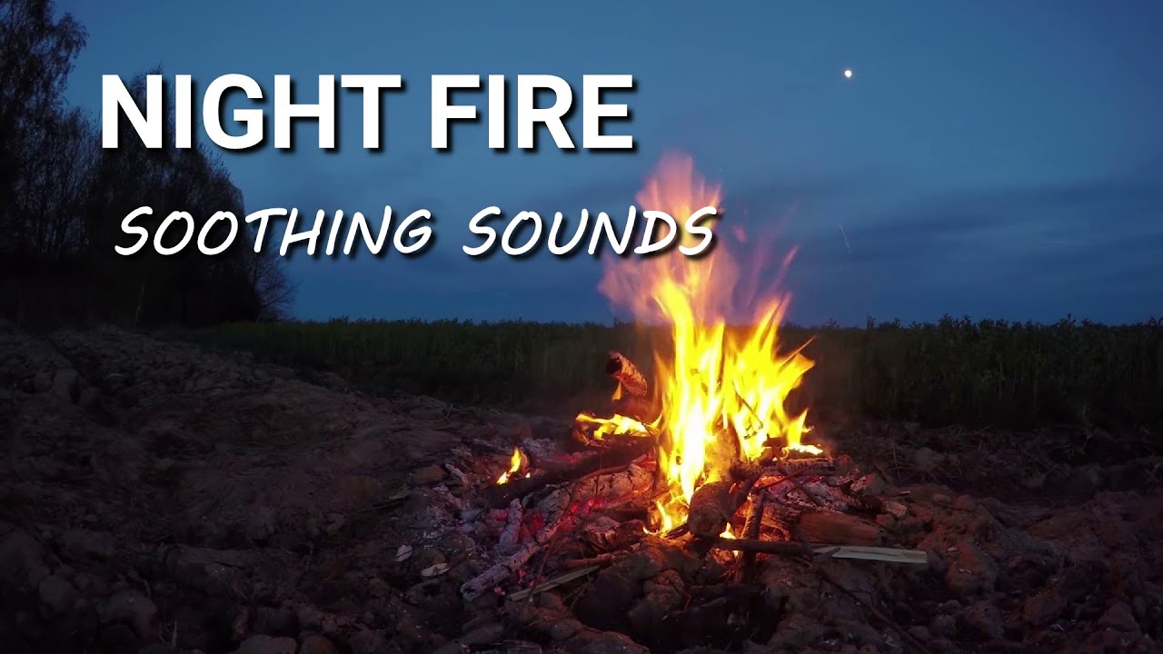 Campfire Night Ambience | Crackling Fire, birdsong, Ambient Nature ...