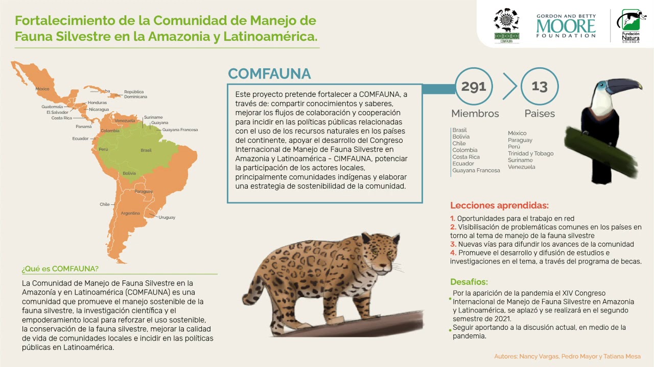 Fauna De Latinoamerica Colombia Adds Hundreds Of Species To List Of