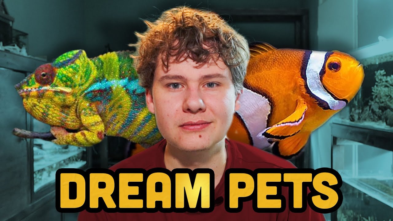 5 MORE Animals I Would LOVE To Add to The Animal Room! - YouTube