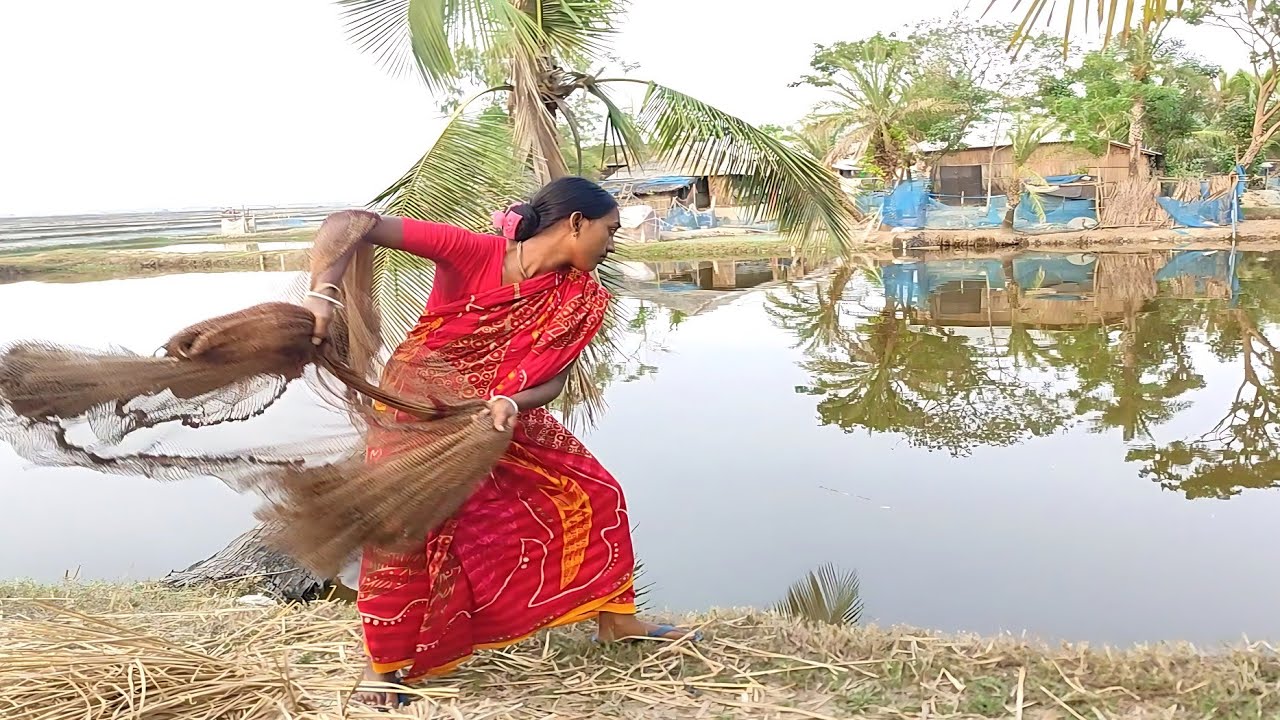 Traditional Net Fishing Video | Village Pond Fish Catching Using by ...