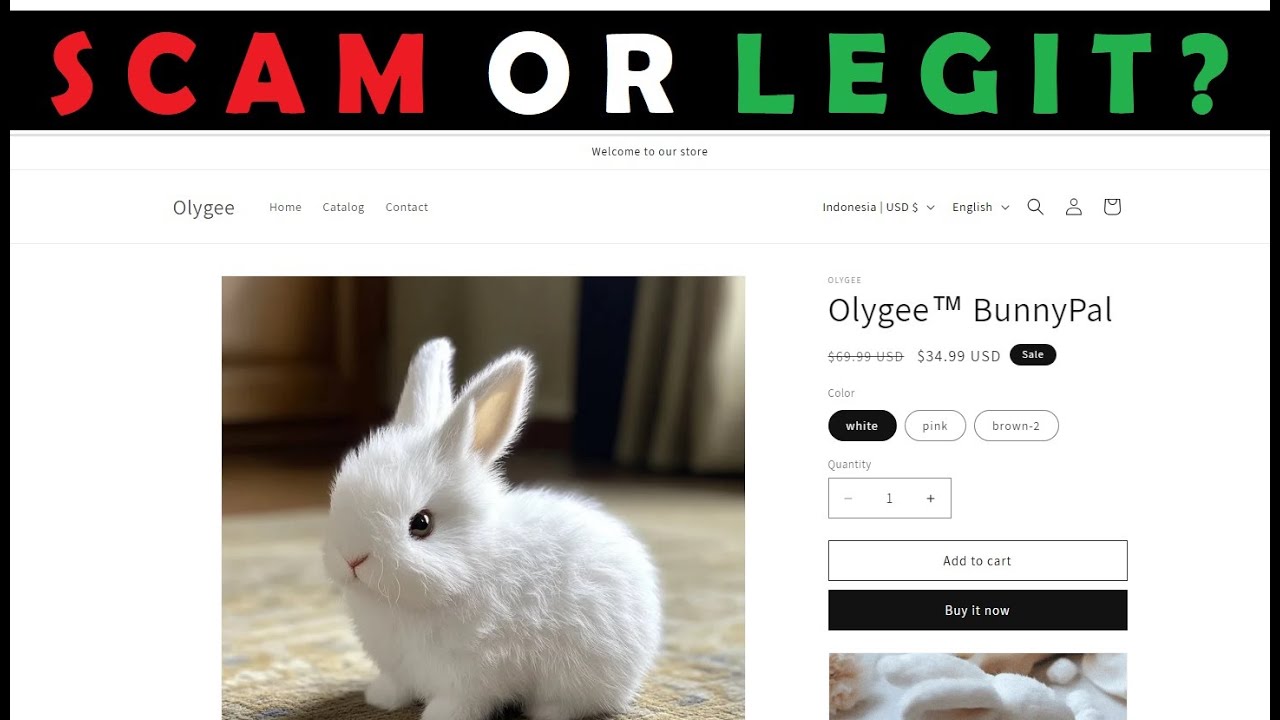 Olygee Bunny Pal Review Scam or Legit? My Realistic BunnyPal - YouTube