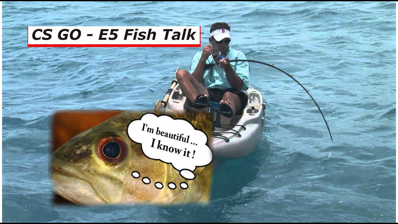 CS GO - E5 Fish Talk - YouTube