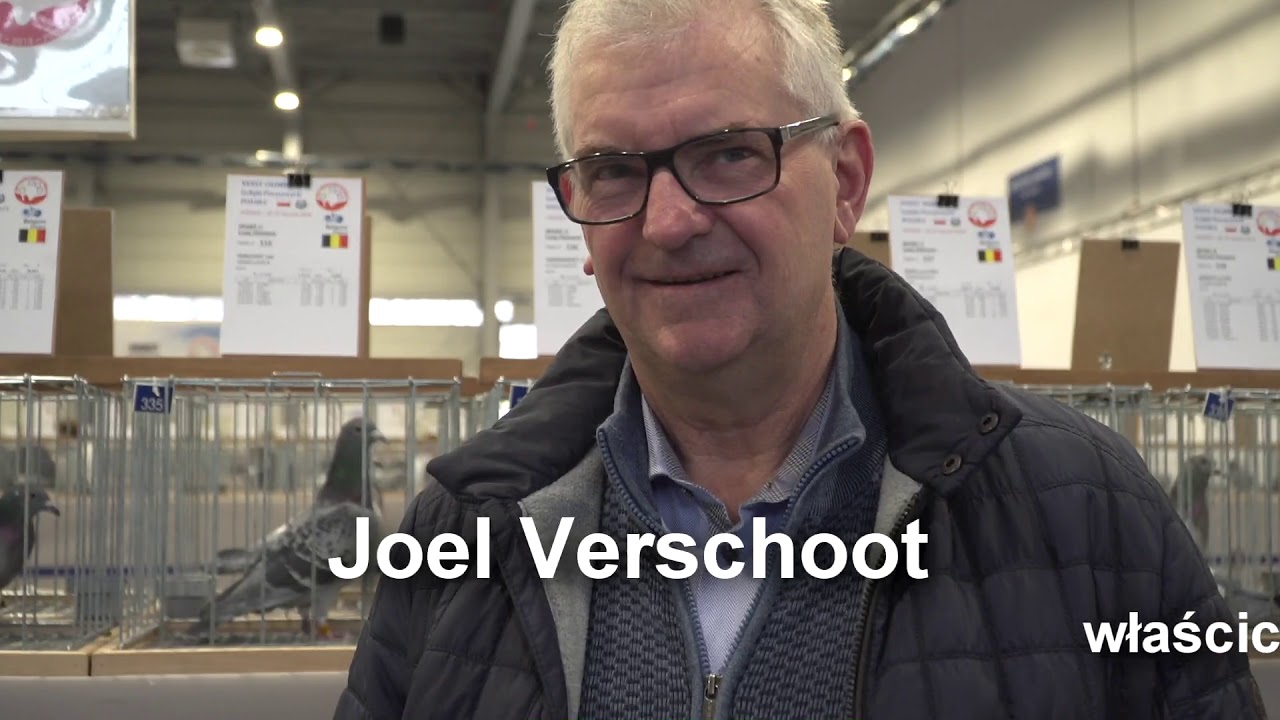 Joel Verschoot i jego gołąb za ponad 1 milion euro - YouTube