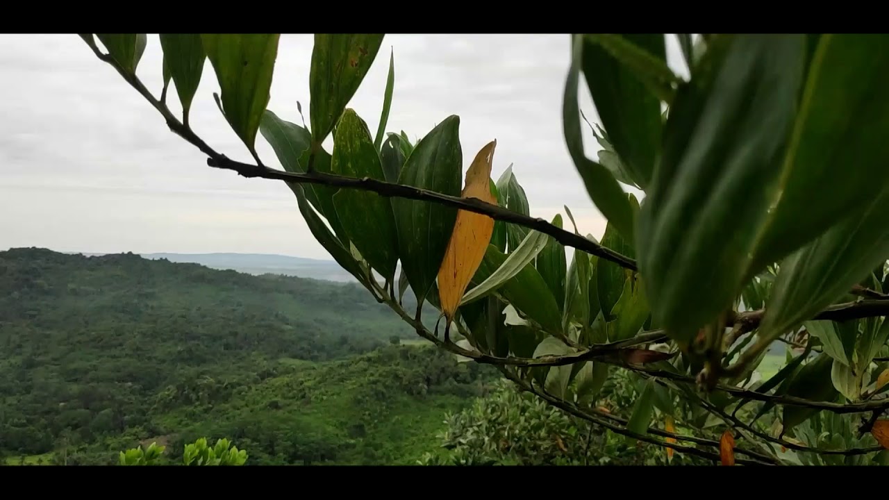 Puncak Bukit Biru Tenggarong - YouTube