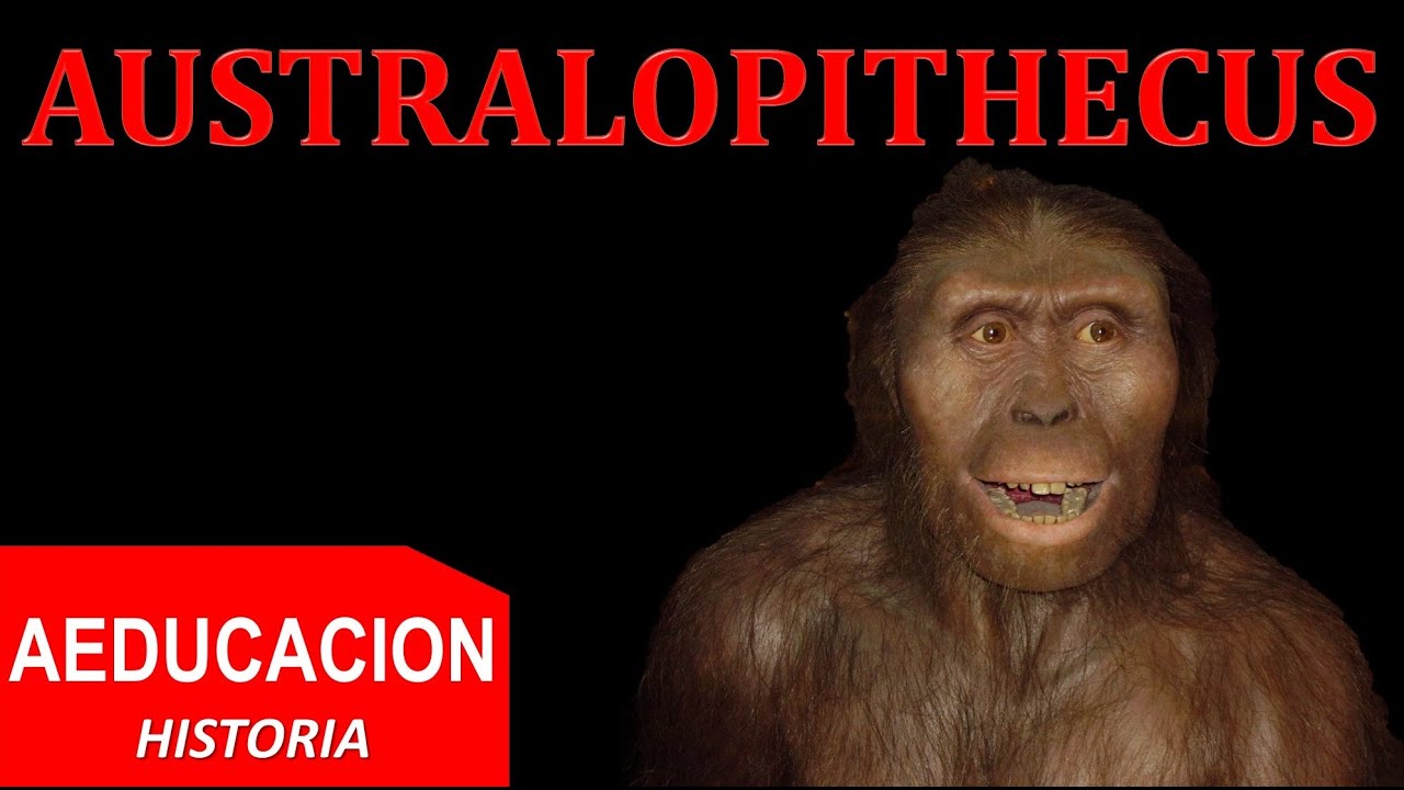 Manchuria adiós buscar australopithecus africanus herramientas Molesto ...
