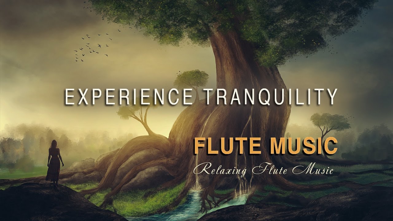 Tranquility - Deep Healing Relaxing Music 🌿 Native American Flute ...