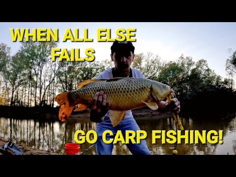 FALL CARP FISHING IN TEXAS! (BIG CATCH) - YouTube