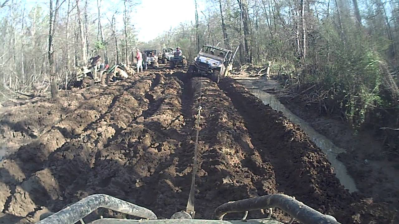 mud nationals mudding rxr 900 wild cat teryx mud creek - YouTube