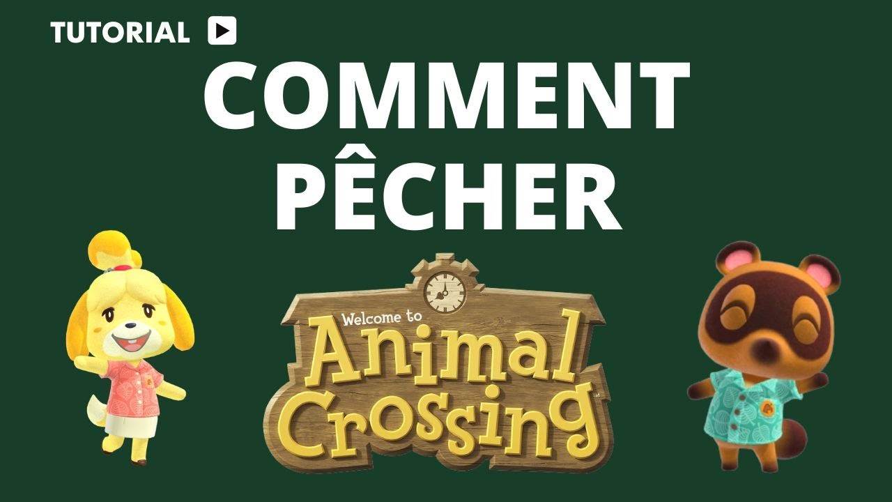 Comment pêcher un poisson dans Animal Crossing🎣🐟 - YouTube