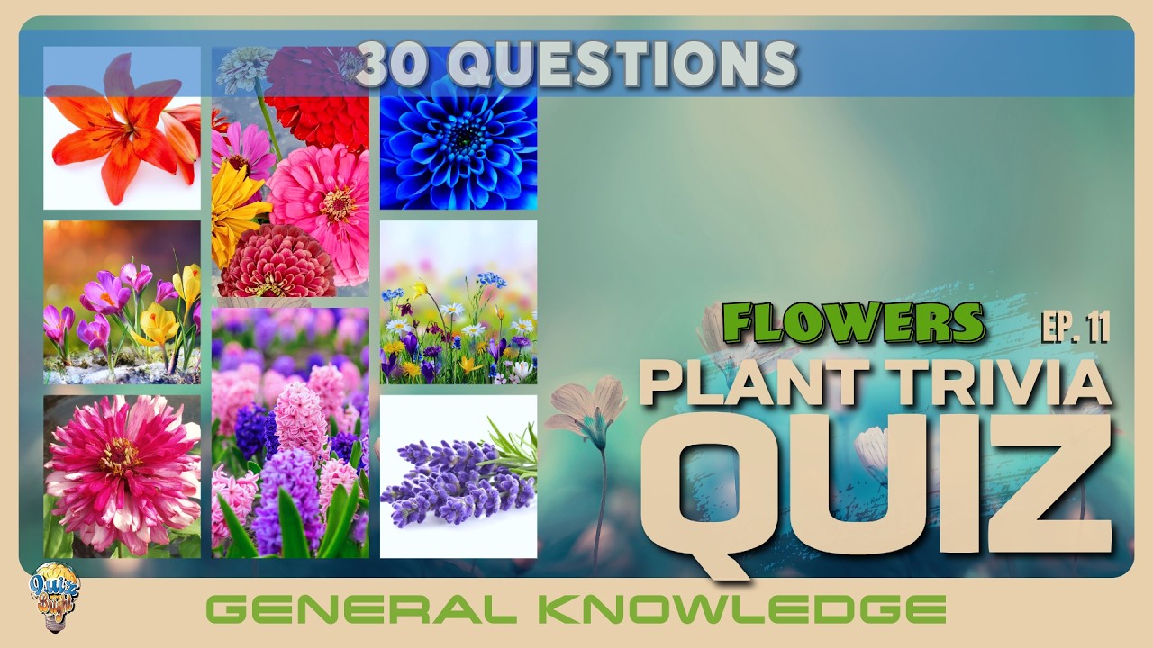 Flower Plant Trivia Quiz General Knowledge and Facts Ep 11 - YouTube