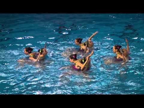 WJSSC 2014, Russia, team preliminary