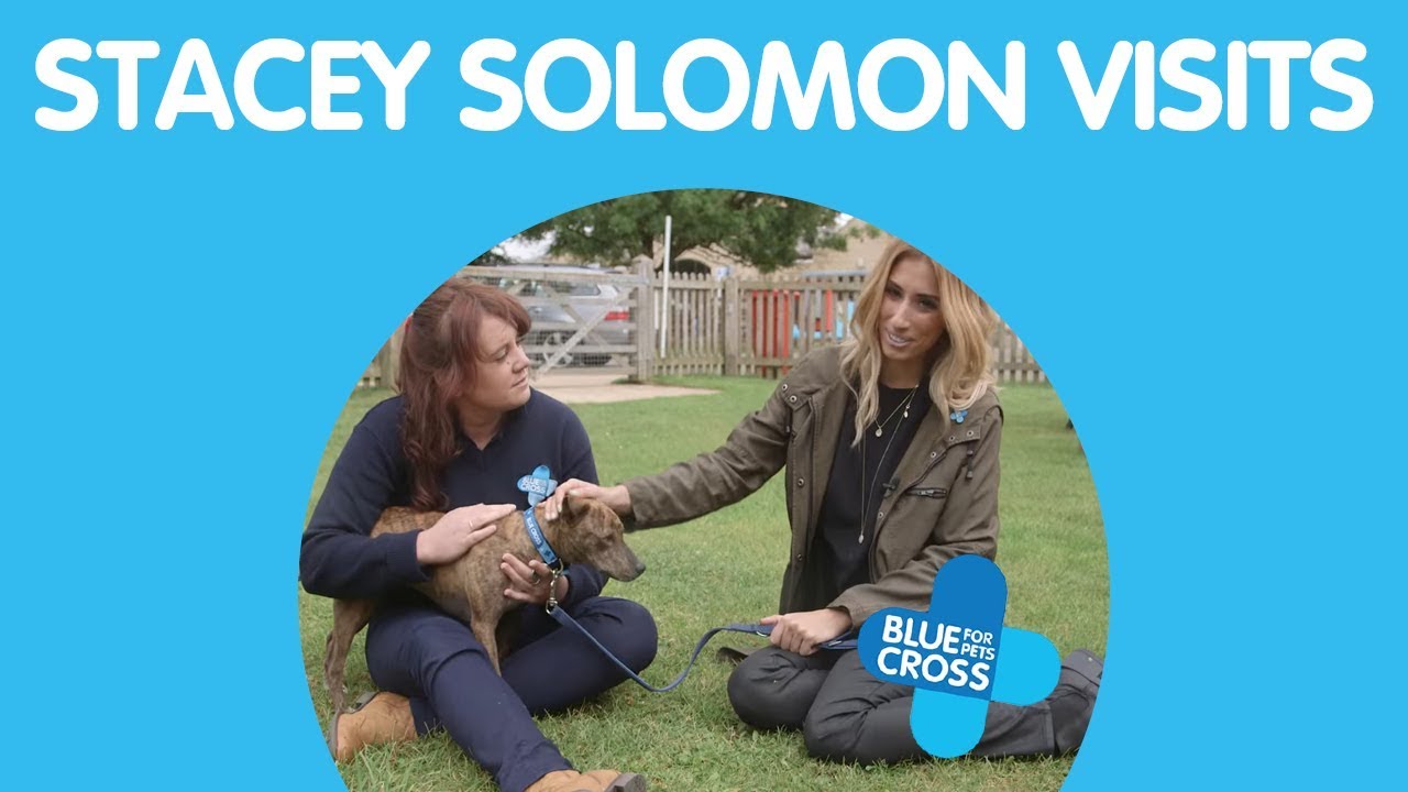 Stacey Solomon Webisode | Blue Cross Advert 2015 - YouTube