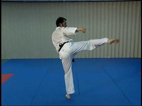 TAE KWON DO FORMS "HWA-RANG" - YouTube