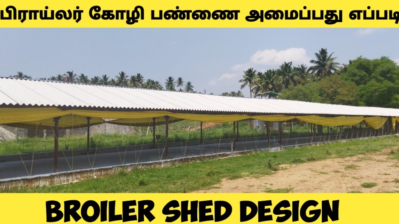 broiler shed design/பிராய்லர் கோழி பண்ணை அமைப்பது எப்படி/broiler farm ...