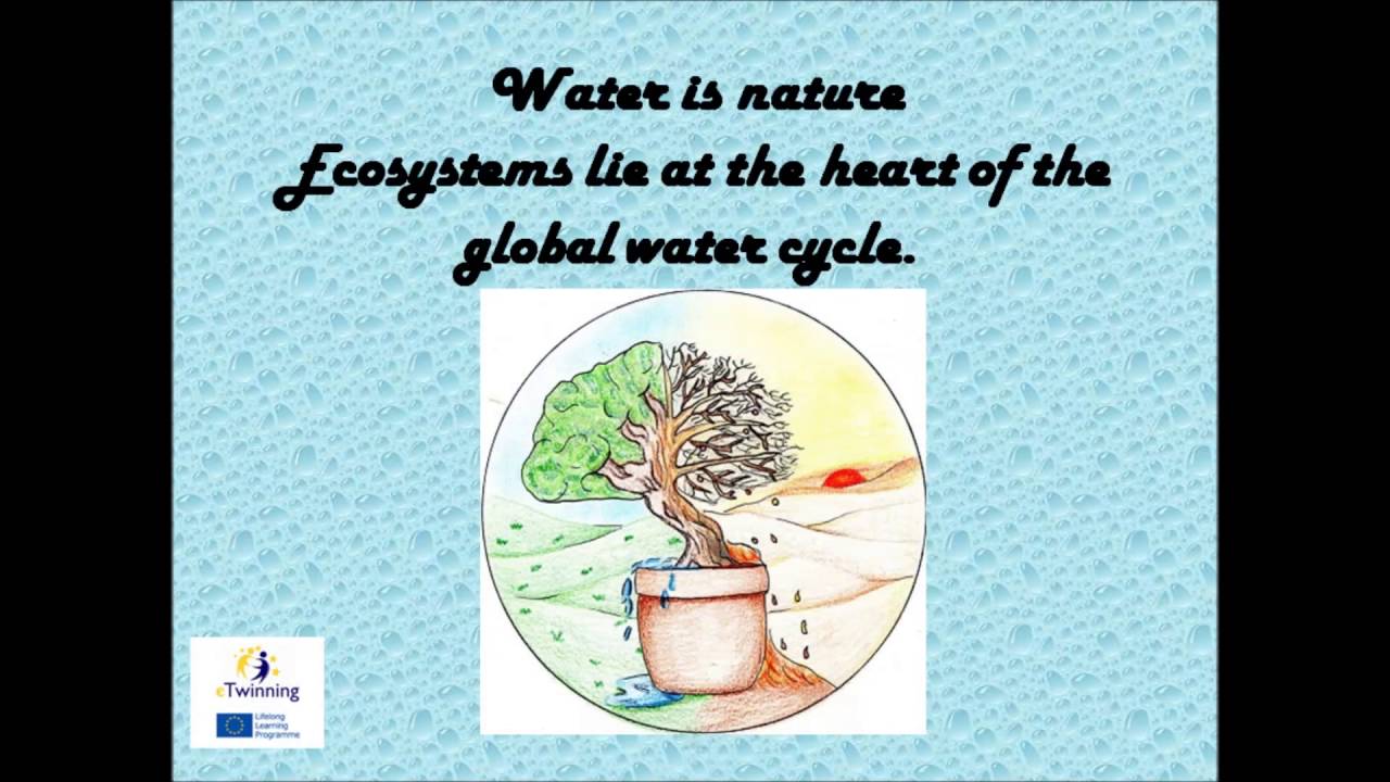 precious resource: water - YouTube