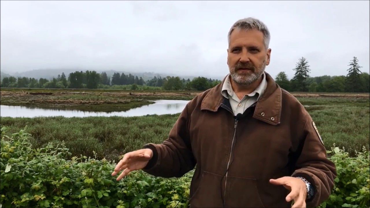 About the Julia Butler Hansen National Wildlife Refuge - YouTube