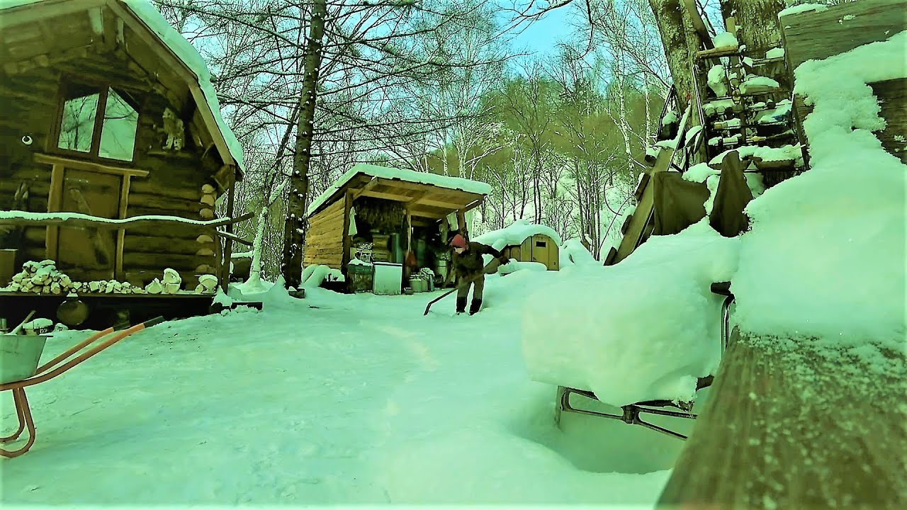 Alone in the TAIGA ALL YEAR ROUND Life AWAY FROM PEOPLE - YouTube
