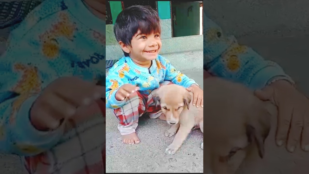 ગલુડિયું જોઈને ધારા કેવી ખુશ થઈ ગઈ 🤗🤣 #funny #cutebaby #puppy - YouTube