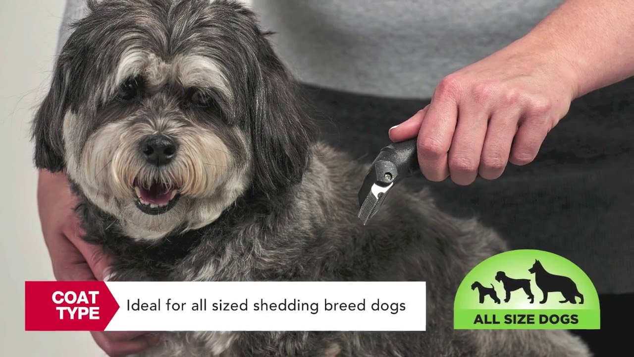 Fine Tooth Deshedding Rake - YouTube