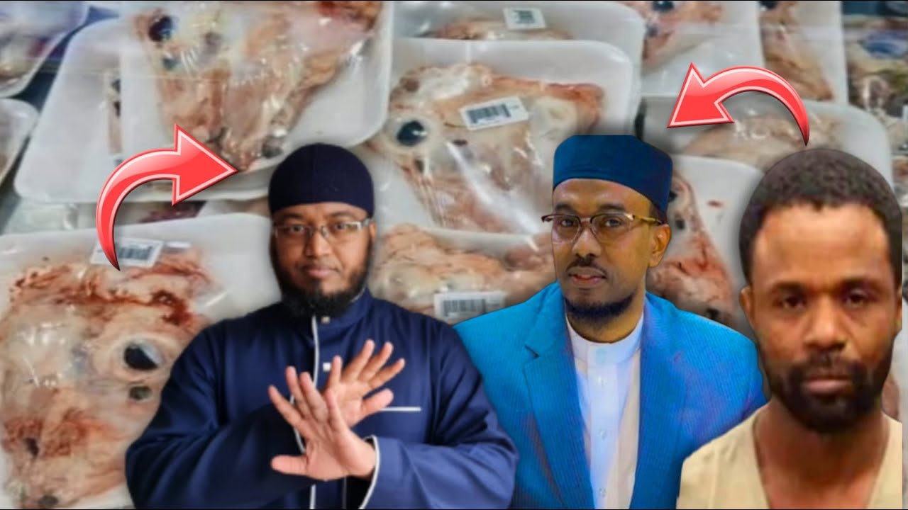 YAAB! MADAX ARI O SOMALIA LA KEENAY HILIB AHAAN| DILAAGII IMAAM MAXAMED ...