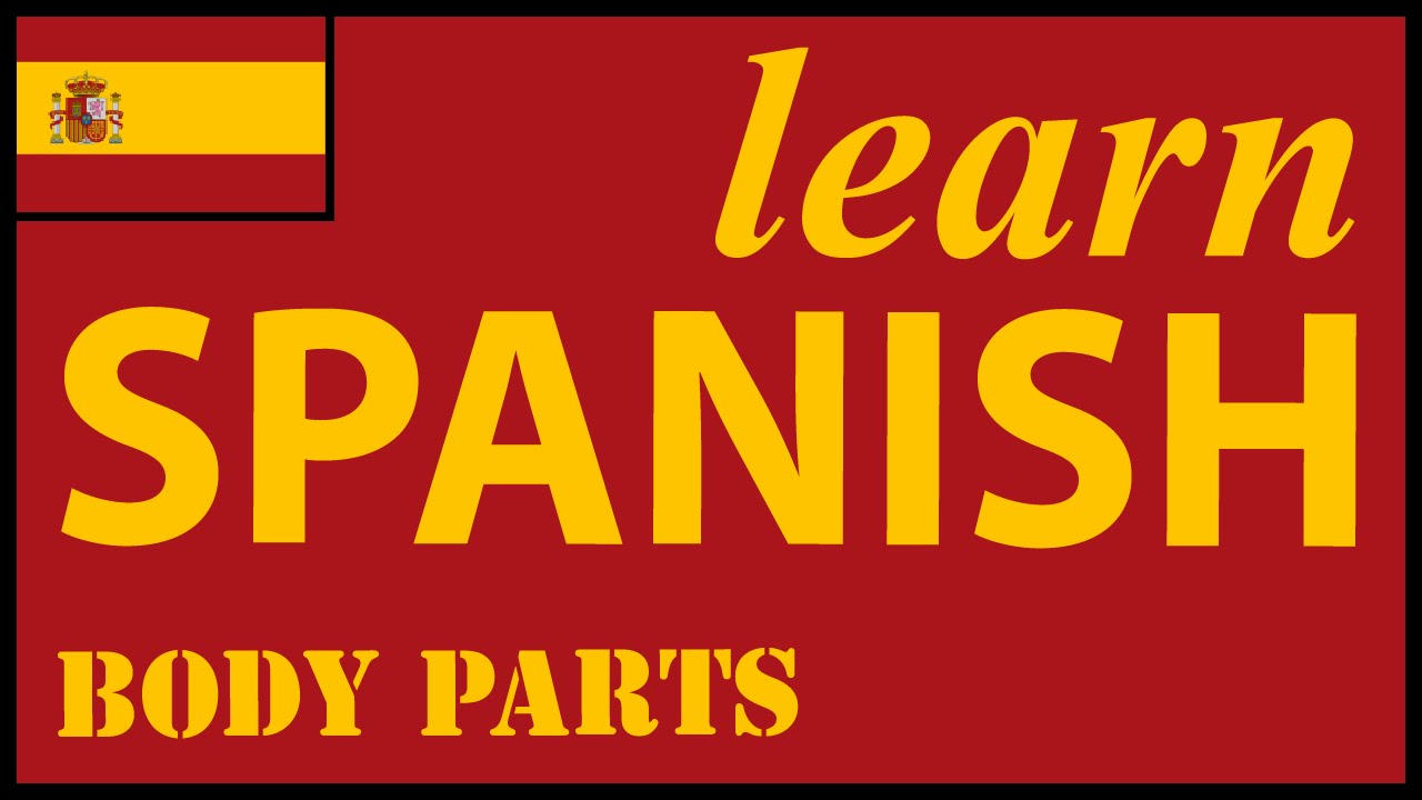 Parts Of The Body In Spanish Spanish Lessons For Learners YouTube parts-of-the-body-in-spanish-spanish-lessons-for-learners-youtube