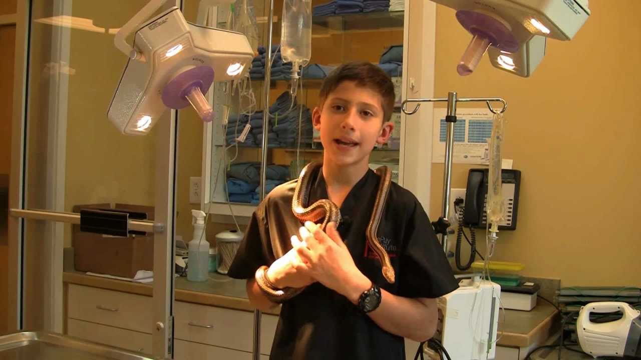 Our Scaly Future By Pierce Curren - YouTube