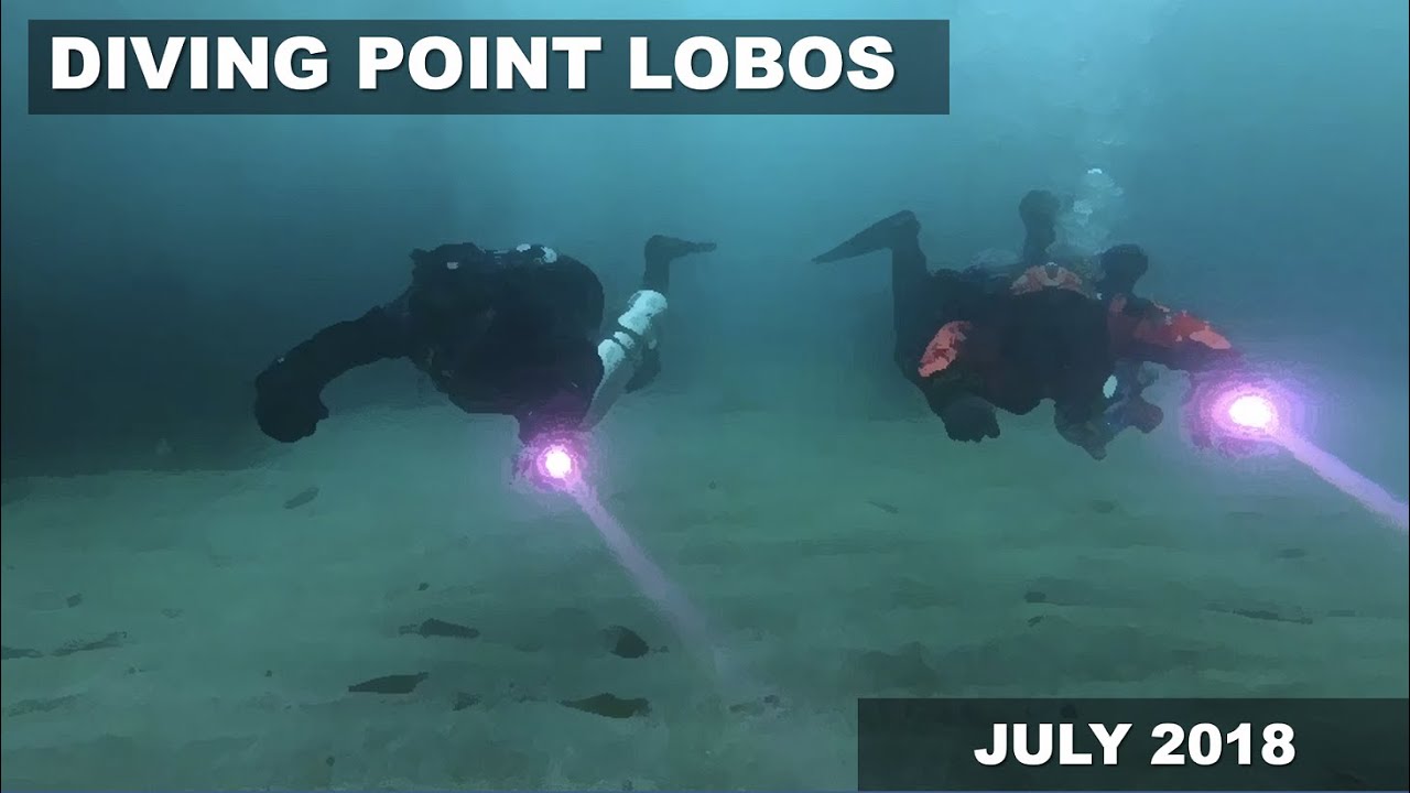 Diving Blue Fish Cove, Point Lobos, July 2018 - YouTube