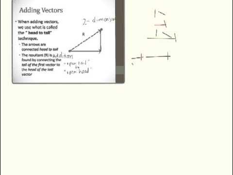 Adding Scalars and Vectors in 1 Dimension - YouTube