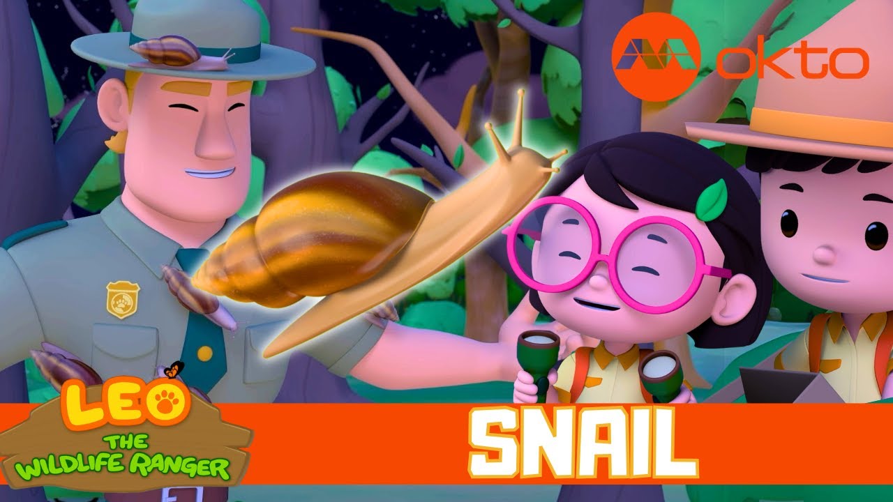 🐌 GIANT AFRICAN SNAIL INVASION RESCUE 🌳 | Leo the Wildlife Ranger ...
