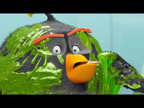 THE ANGRY BIRDS 2 BOMB 💣 Best Moments [HD] ANIMATION MOVIES - YouTube
