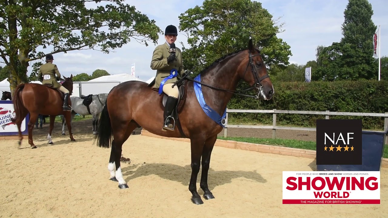 Class 205 Middleweight Amateur Hunter Championship Remember Rossmore ...