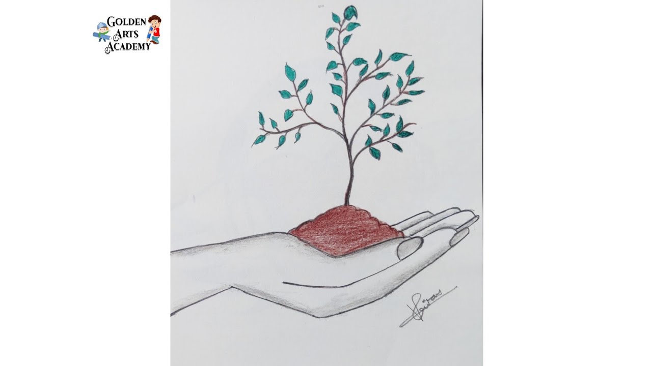 How to Draw a Save Tree and Save Nature Pencil Drawing/Tree drawing ...